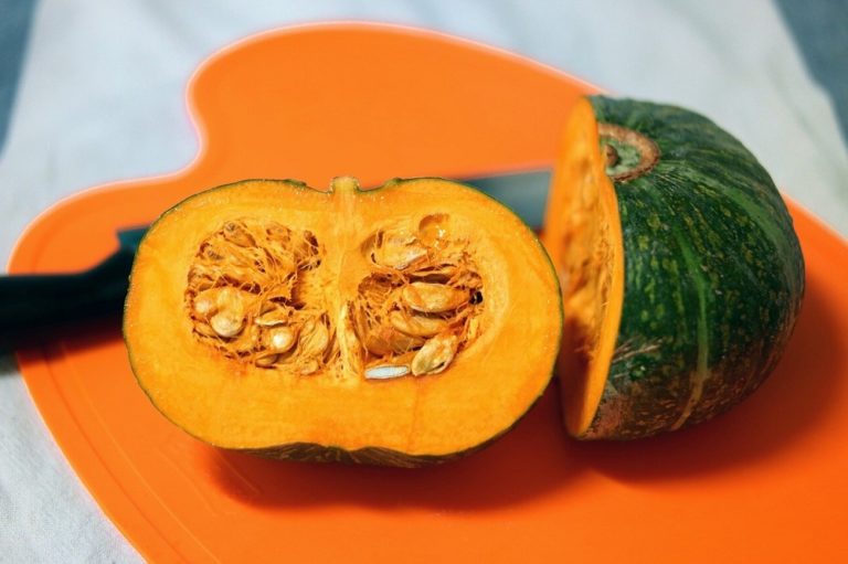 Quelle est la durée de conservation de la courge Buttercup ? - Expirata.fr